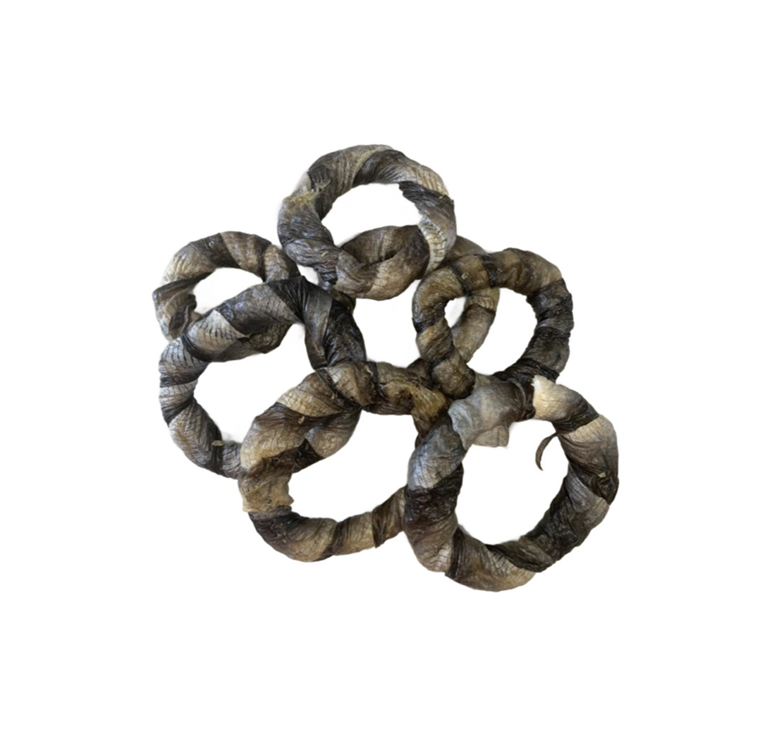 Cod skin rings – All Four Pawss